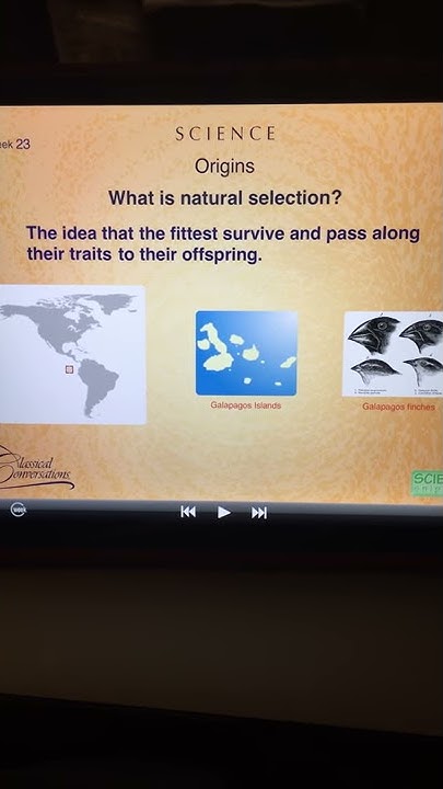 Classical Conversations - Cycle 3 - Week 23 - Science - Natural ...