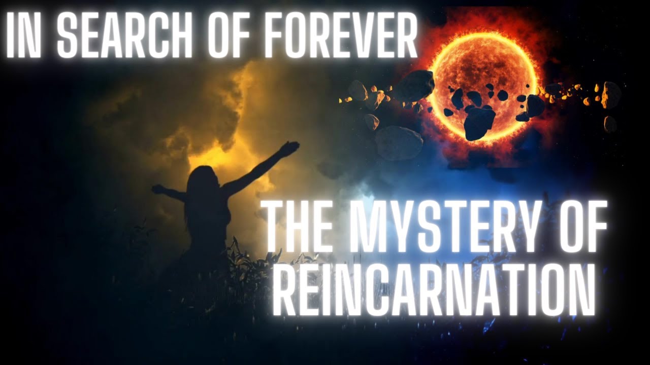 In Search of Forever: Unraveling the Mystery of Reincarnation | Thought ...