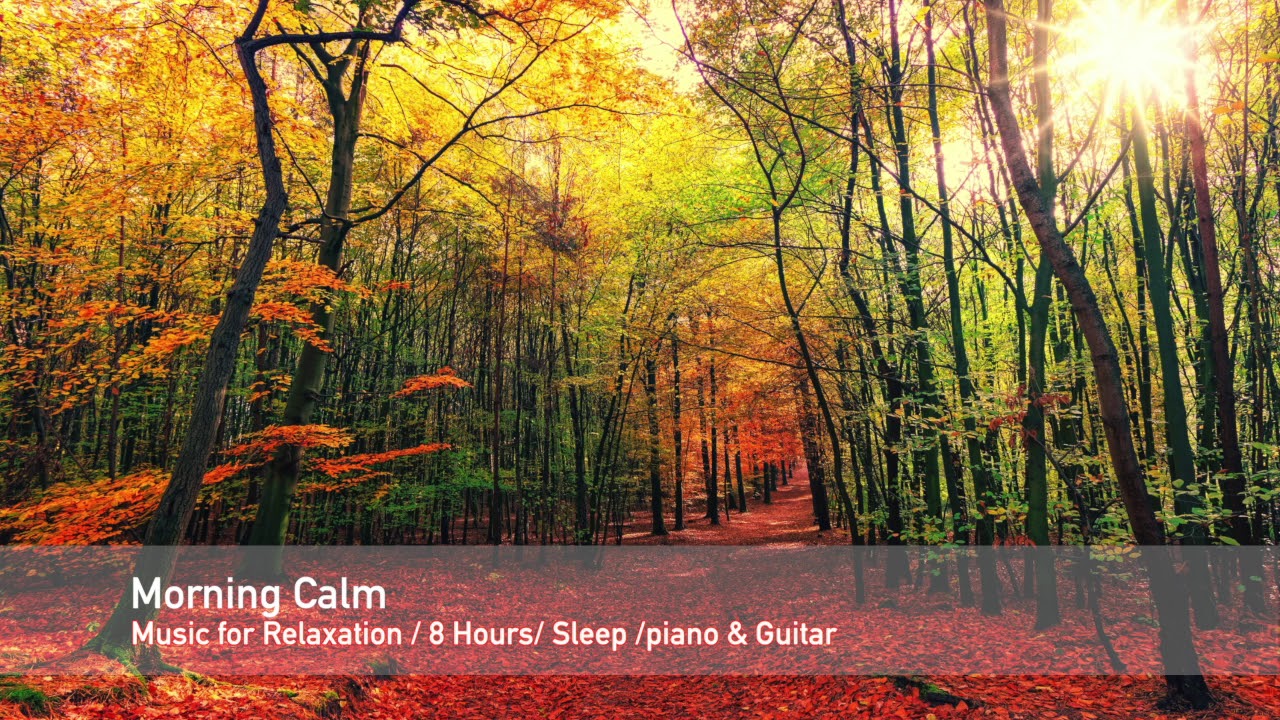 8 Hours Relaxing music - Peaceful piano and guitar music by music for ...