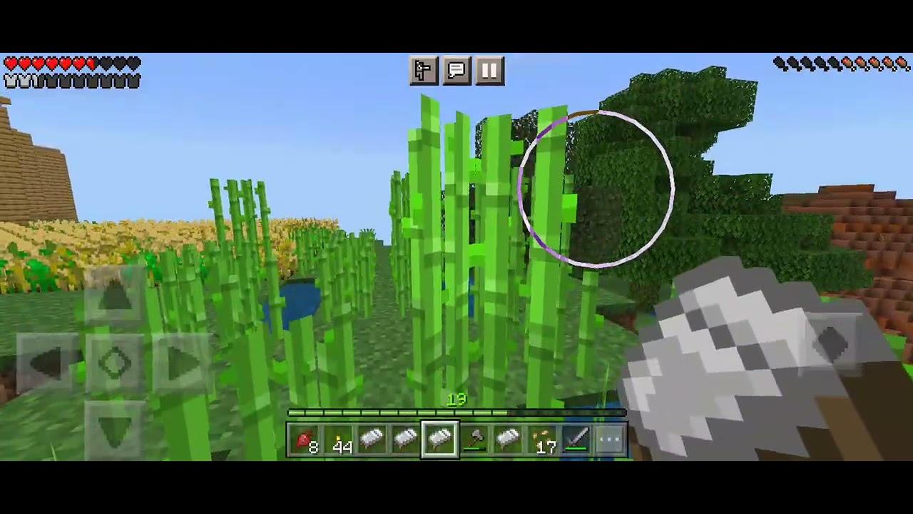 MINECRAFT PART 50 : DAY 40 - YouTube