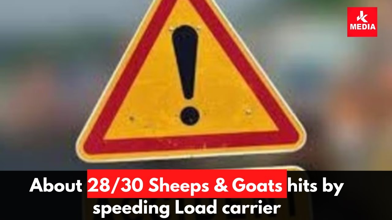 About 28/30 Sheeps & Goats hits by a speeding Load carrier at Batote in ...