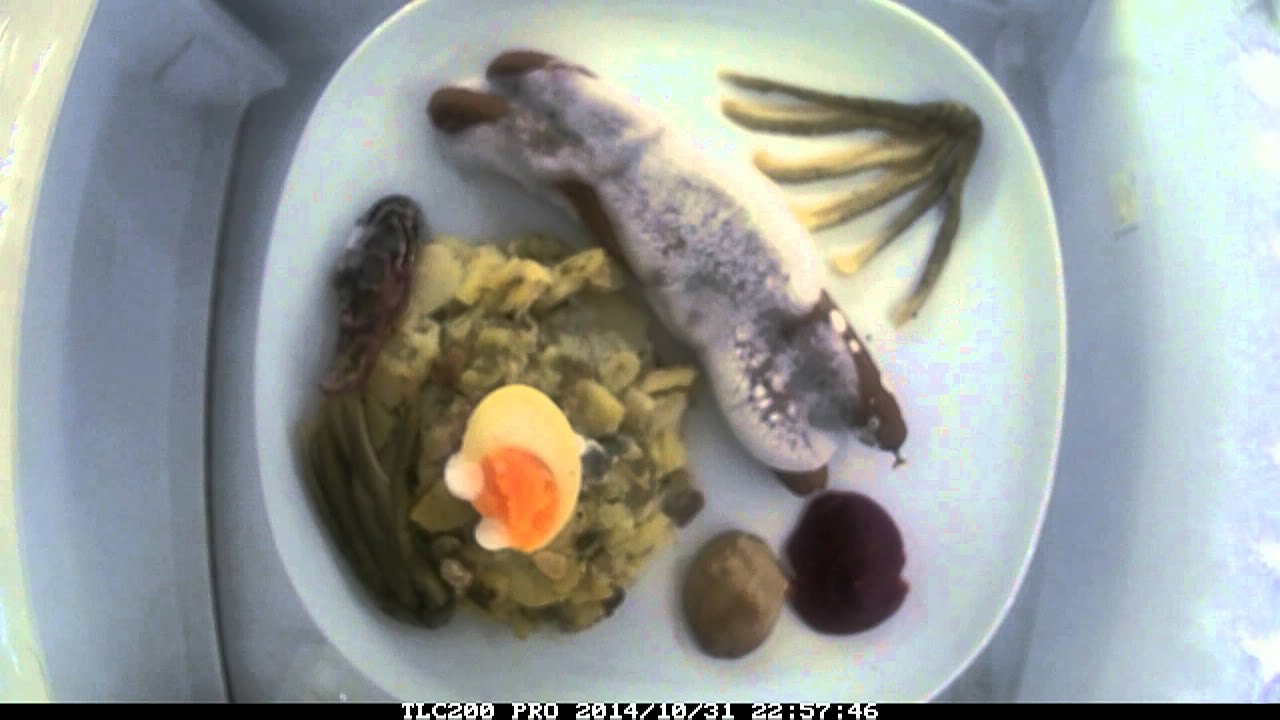 Time Lapse Rotting Food - Potato salad - Yummy Version - YouTube