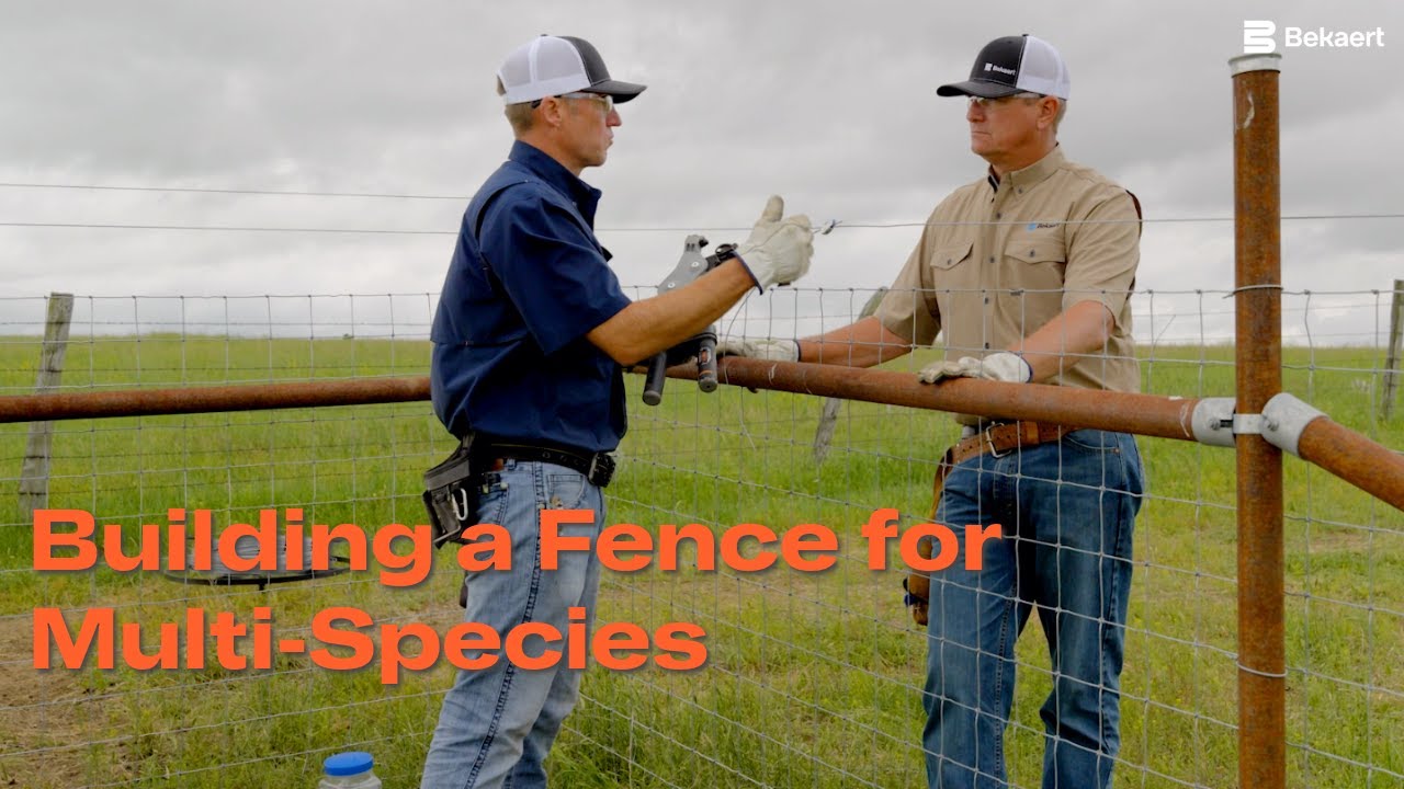 Building a Fence for Multi-Species | Bekaert Fencing - YouTube