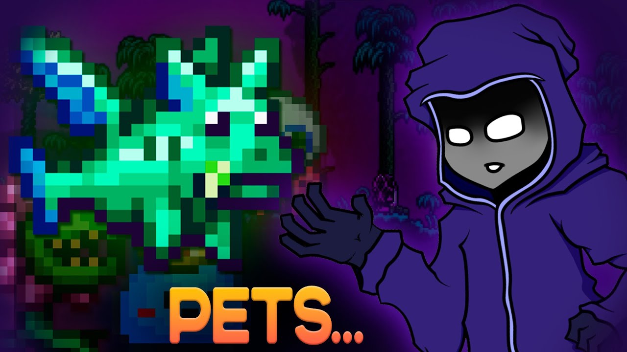 RESUMINDO os Pets EXCLUSIVOS do Terraria... - YouTube