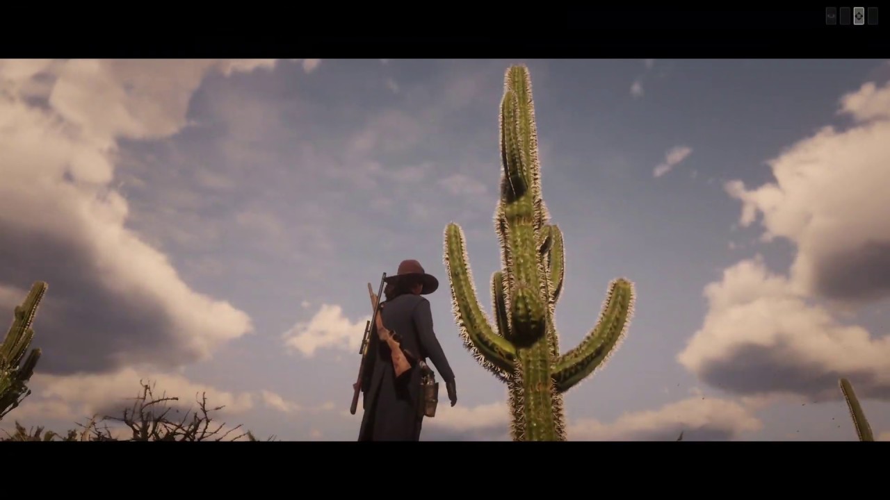 (PS4 RDO Beta) The Cactus Strikes Back - YouTube