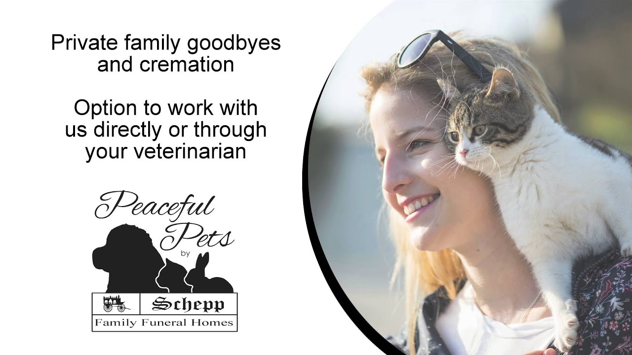 Peaceful Pets - YouTube