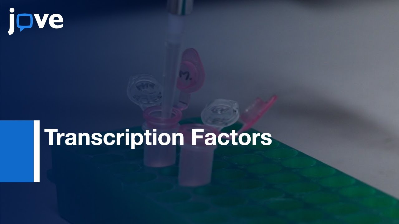 Transcriptomic Analysis to map relationships of Transcription Factors ...