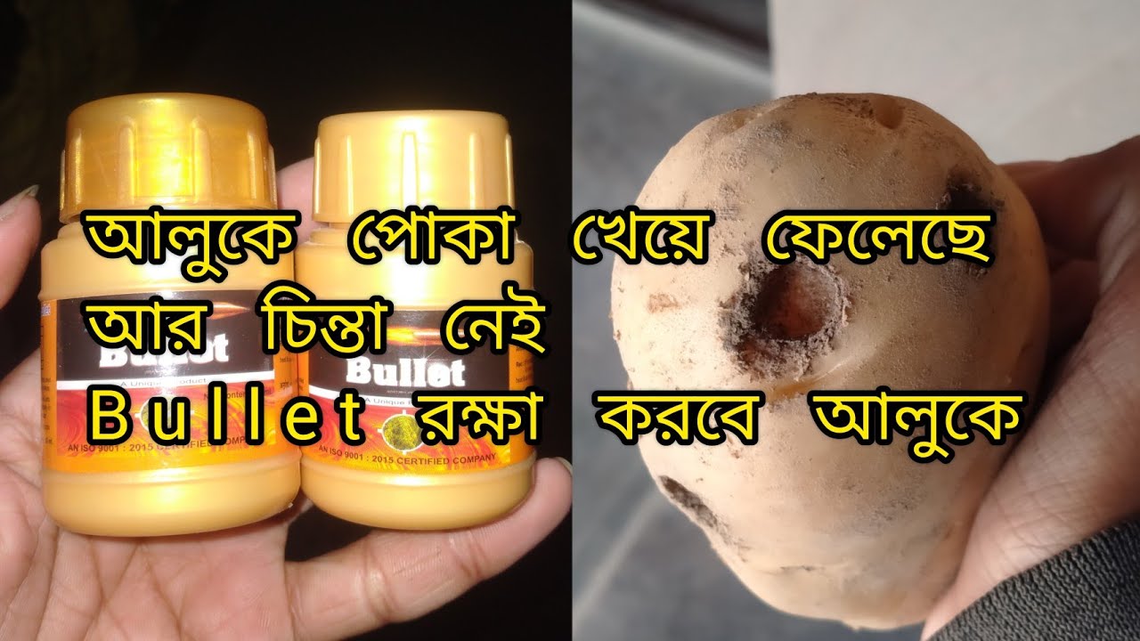 আলুকে পোকা খেয়ে ফেলেছে আর চিন্তা নেই bullet রক্ষা করবে আলুকে।#Bullet ...