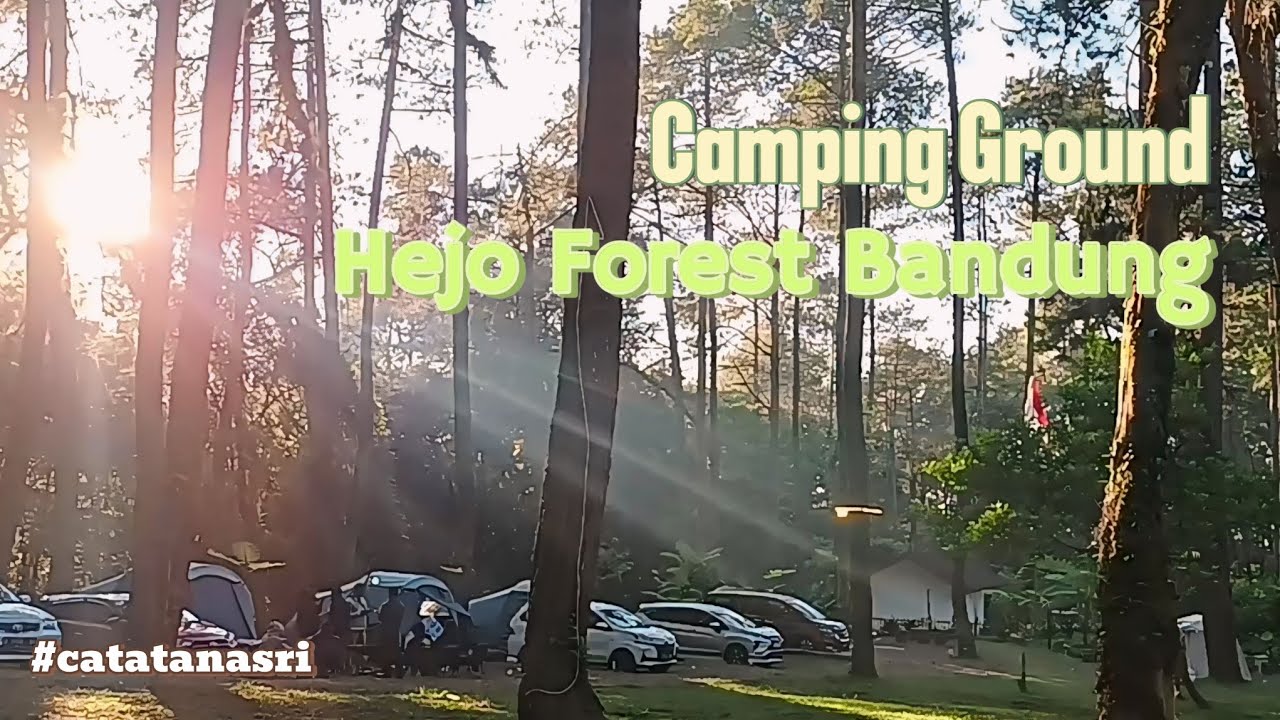 CAMPING DENGAN SUHU 11°C🥶 - Hejo Forest Ciwidey Bandung #catatanasri ...
