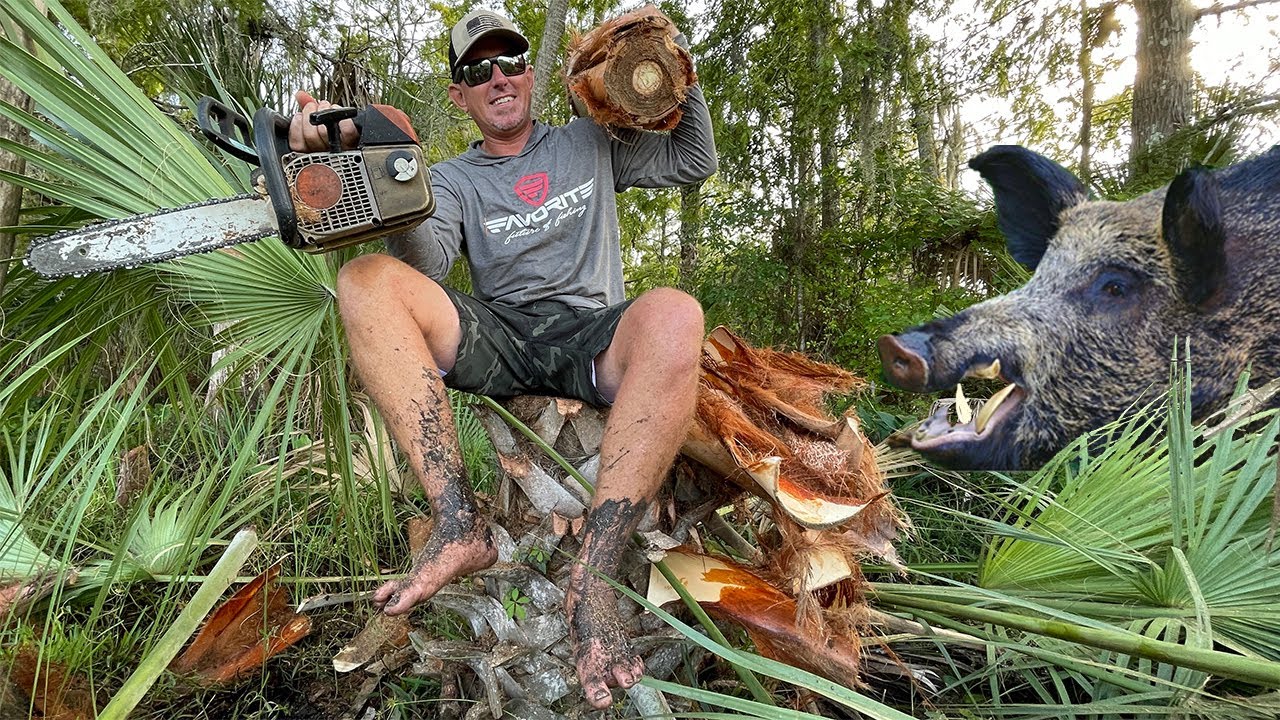 Wild Boar and Swamp Cabbage Catch & Cook (Florida Man Style) - Bluegabe