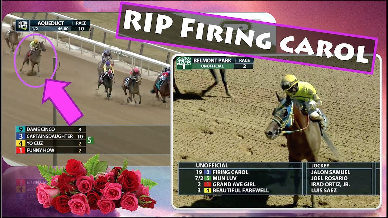 RIP "Firing Carol" 🗽 FIRST NY DEATH, 2023 @thenyra #horseracing # ...