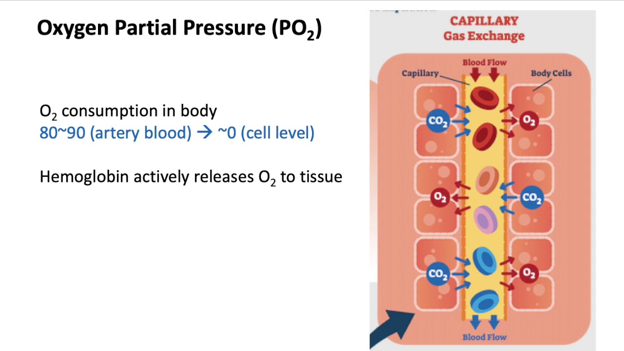 HVRSS Lecture 2: Oxygen - YouTube