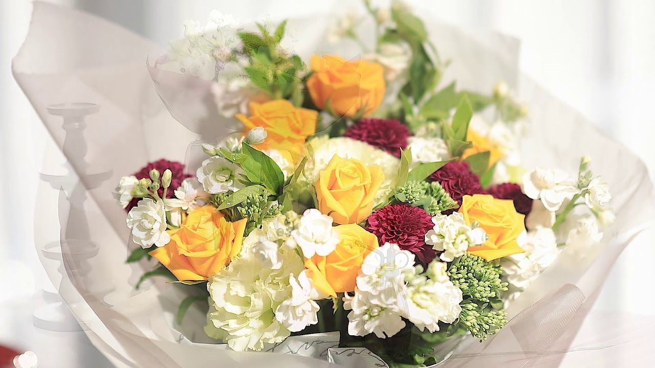 [꽃집] 아셀라 플라워(Asella flower) - YouTube