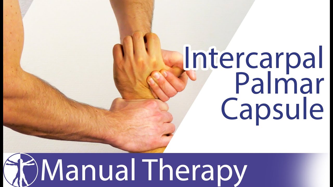 Intercarpal Assessment & Mobilization Wrist Extension ...