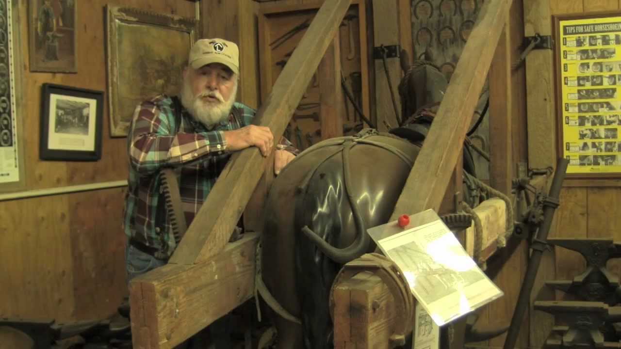 On The Road (Museum Tour With Lee Liles): Shoeing Stocks For Unruly ...