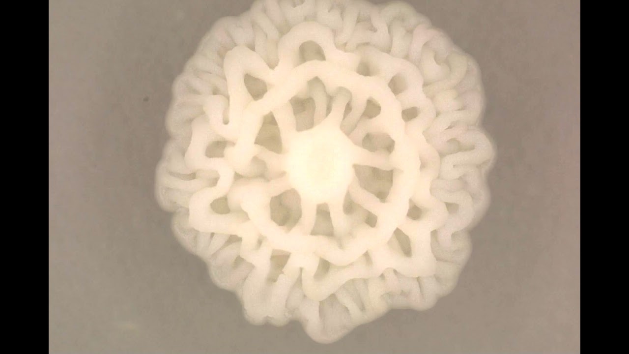 Yeast Complex Colony Morphology - YouTube
