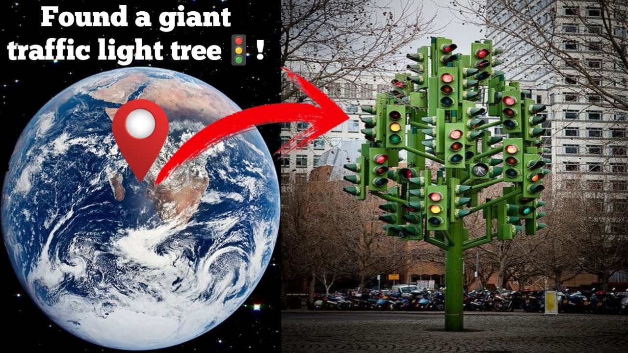 Found a traffic light tree 🚦😱🤯 on google maps and google earth 🌎 #map # ...