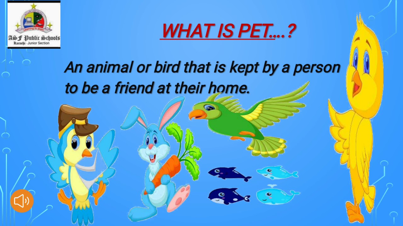 Class 2 English Creative Writing - YouTube