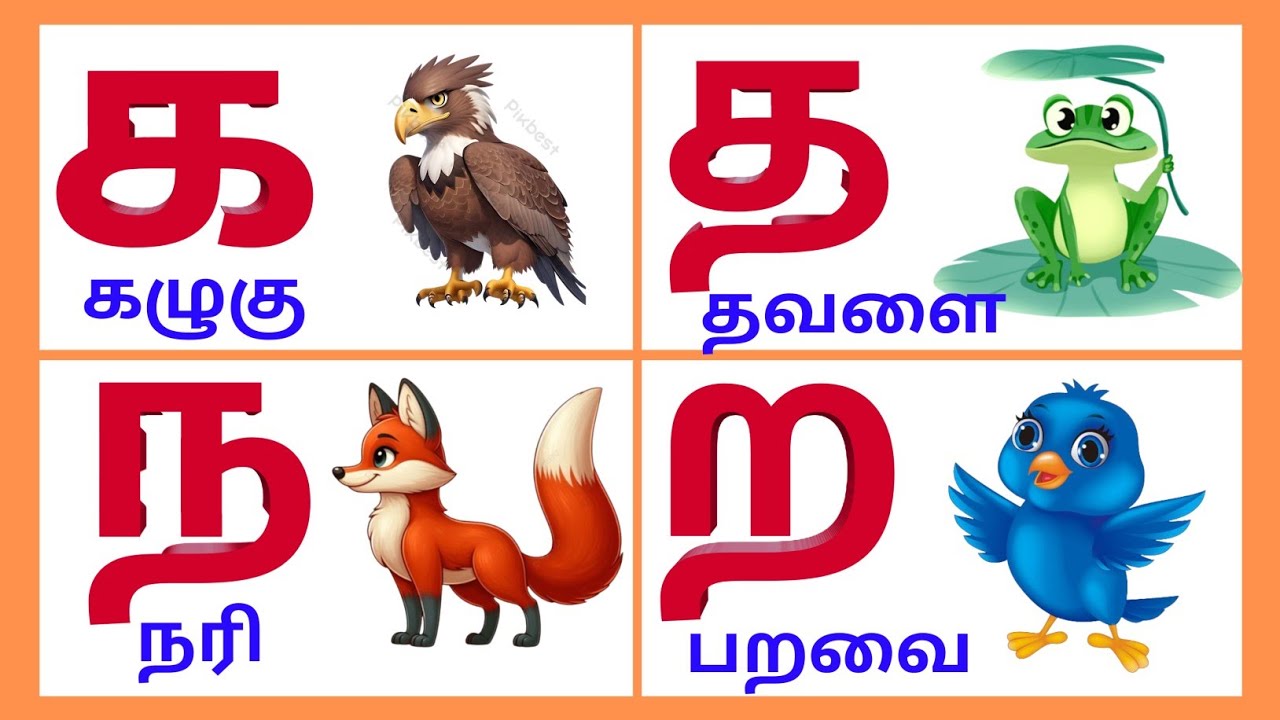உயிர்மெய் எழுத்துக்கள் க ங ச ஞ வரிசை சொற்கள் Tamil Letters