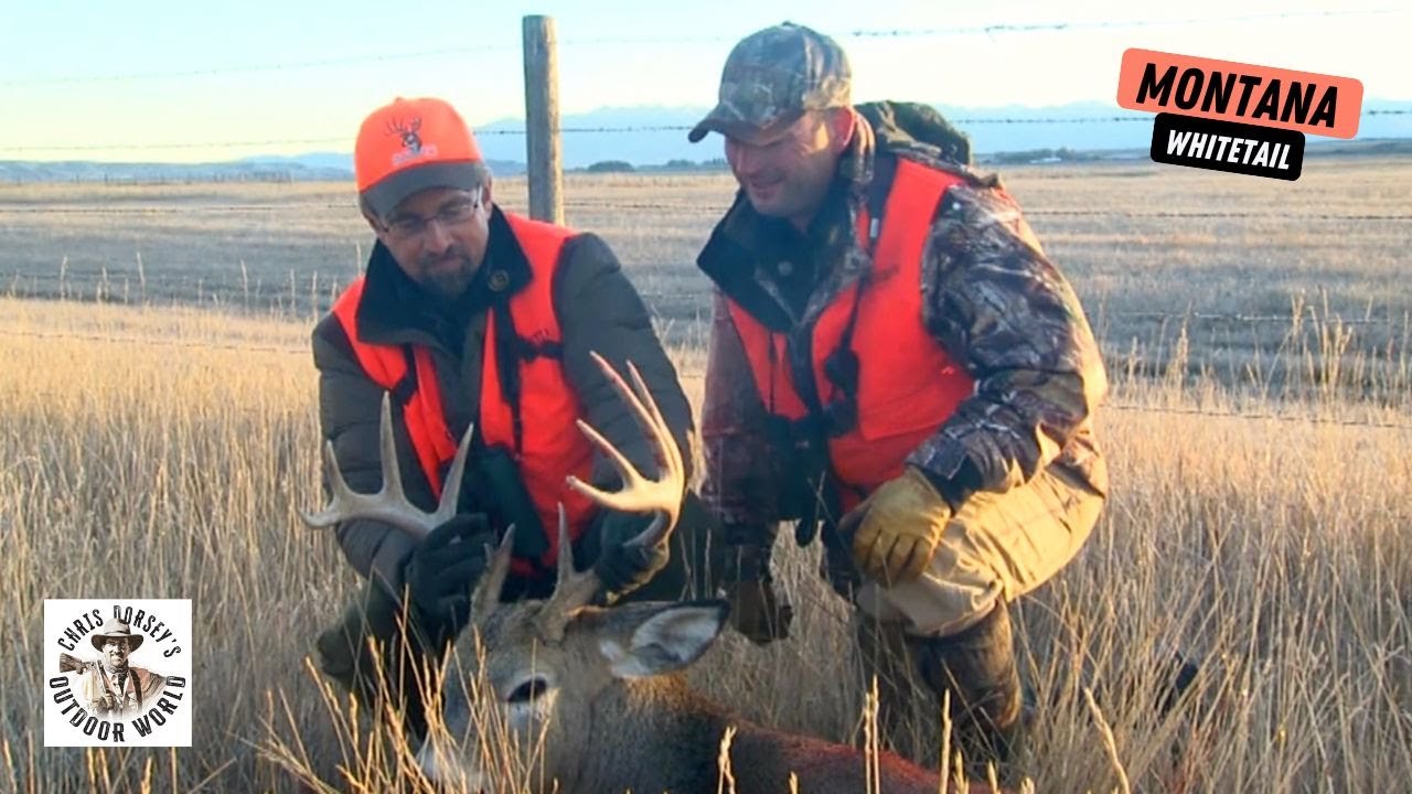 Heavy 10-point Montana Whitetail - YouTube