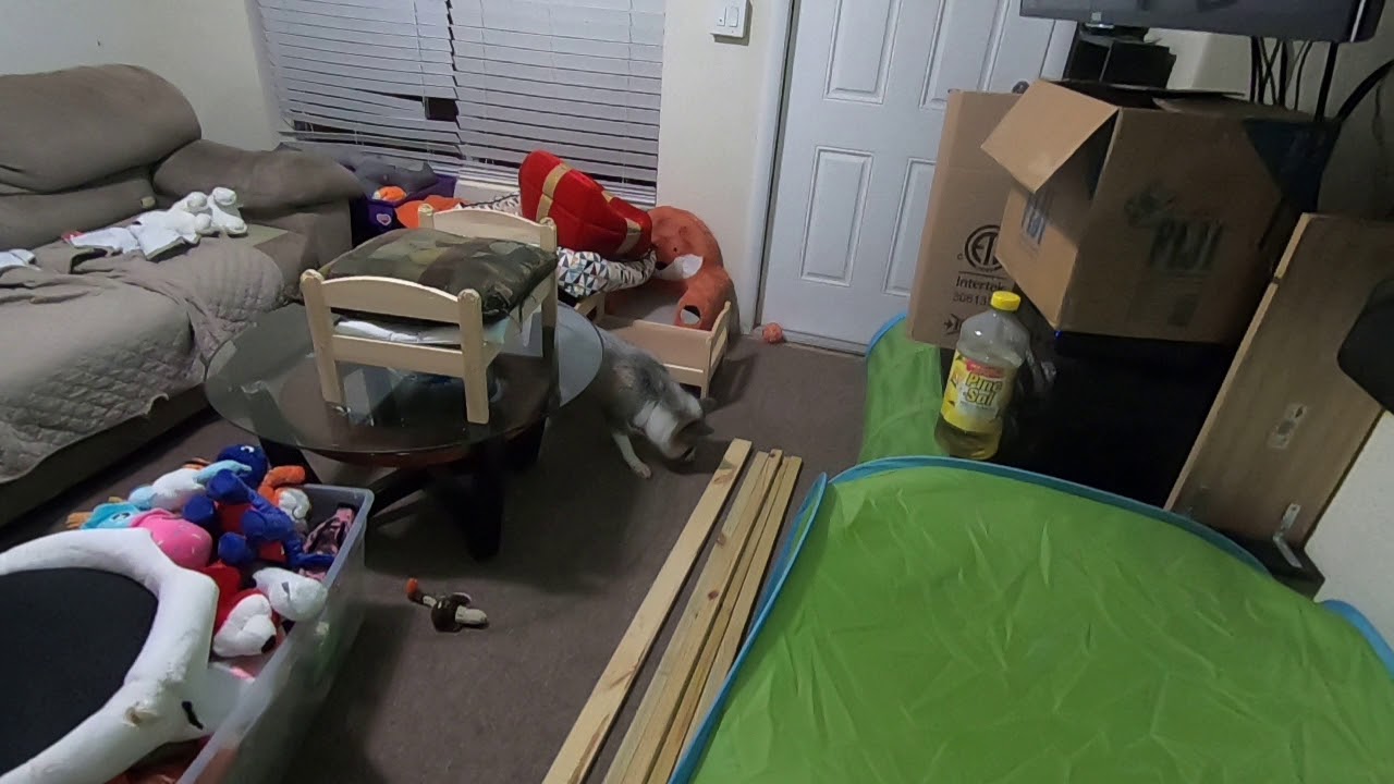 Re-enforce the WALL!!!! - YouTube