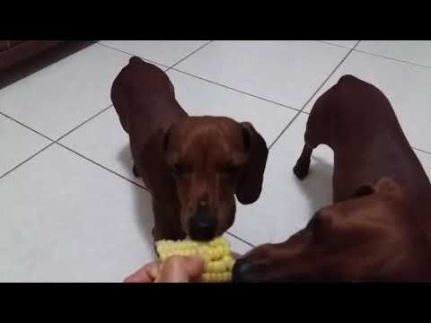 Maya & Clara - YouTube