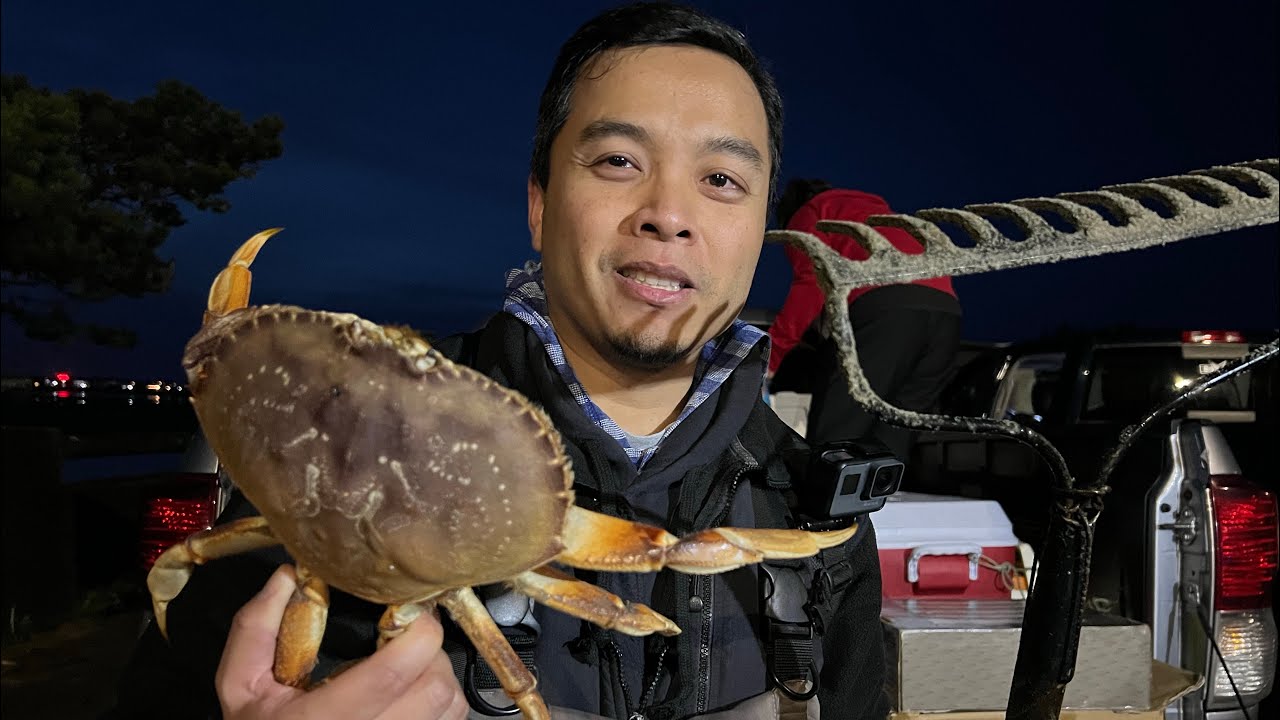 COASTAL FORAGING-Catching Crab With a Garden Rake! - YouTube