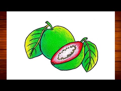 Guava Drawing || How to Draw Guava Fruit Step By Step || Easy Guava ...
