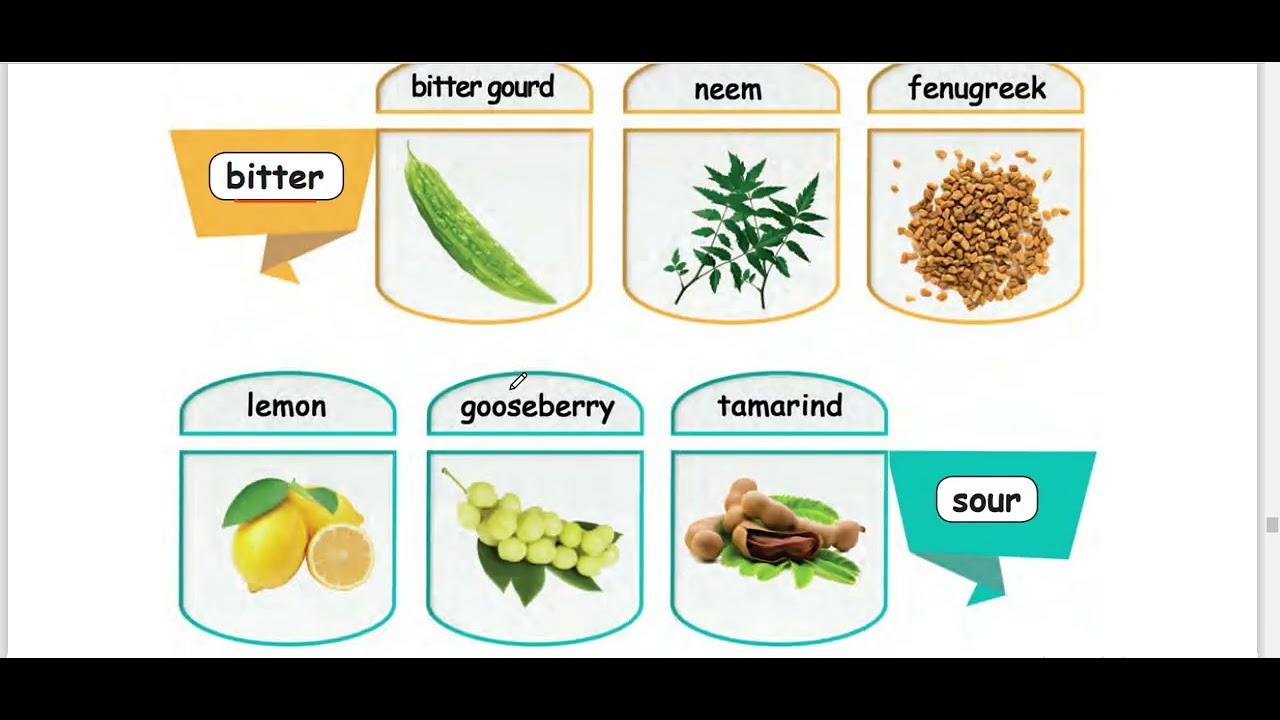2nd STD - TERM 3 - ENGLISH - UNIT 3 - FOOD WE EAT - Explanation & BOOK ...