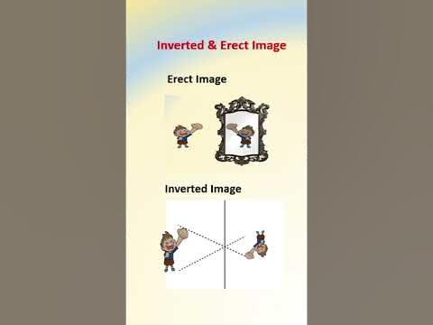 Real And Inverted Image Virtual And Erect Image The Physics Vigyan Light Shorts