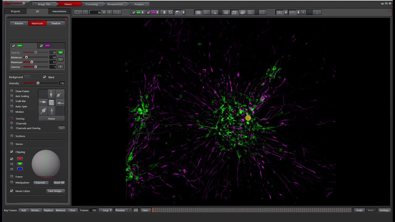 LAS X Movie Editor - YouTube
