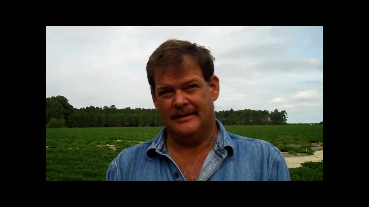 Will Ellis, Jeff Davis peanut farmer - YouTube