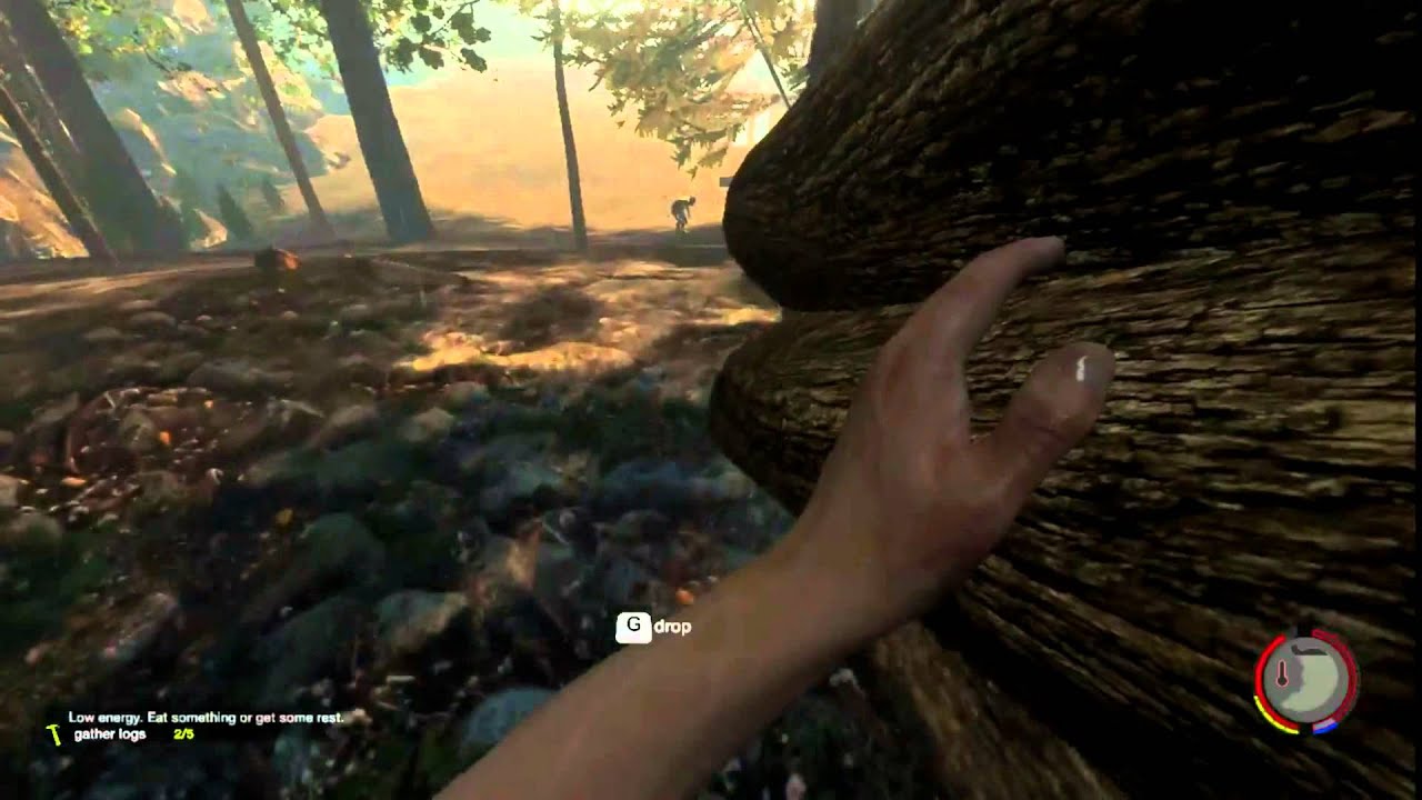 Why Are There So Many Cannibals??? The Forest - YouTube