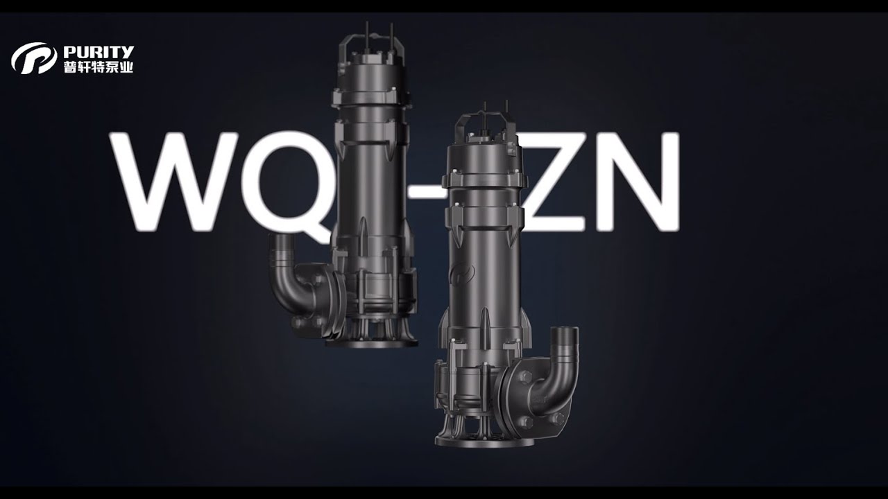 Purity new generation WQ-ZN pump - YouTube