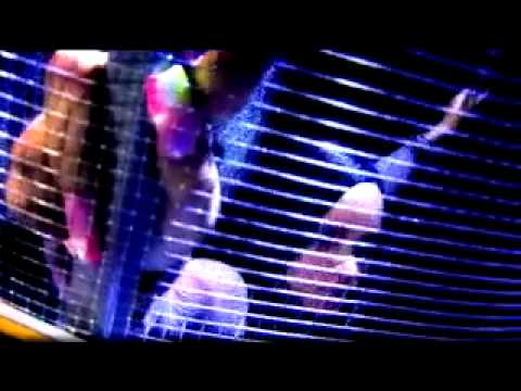 BEENIE MAN - BACK IT UP.flv - YouTube