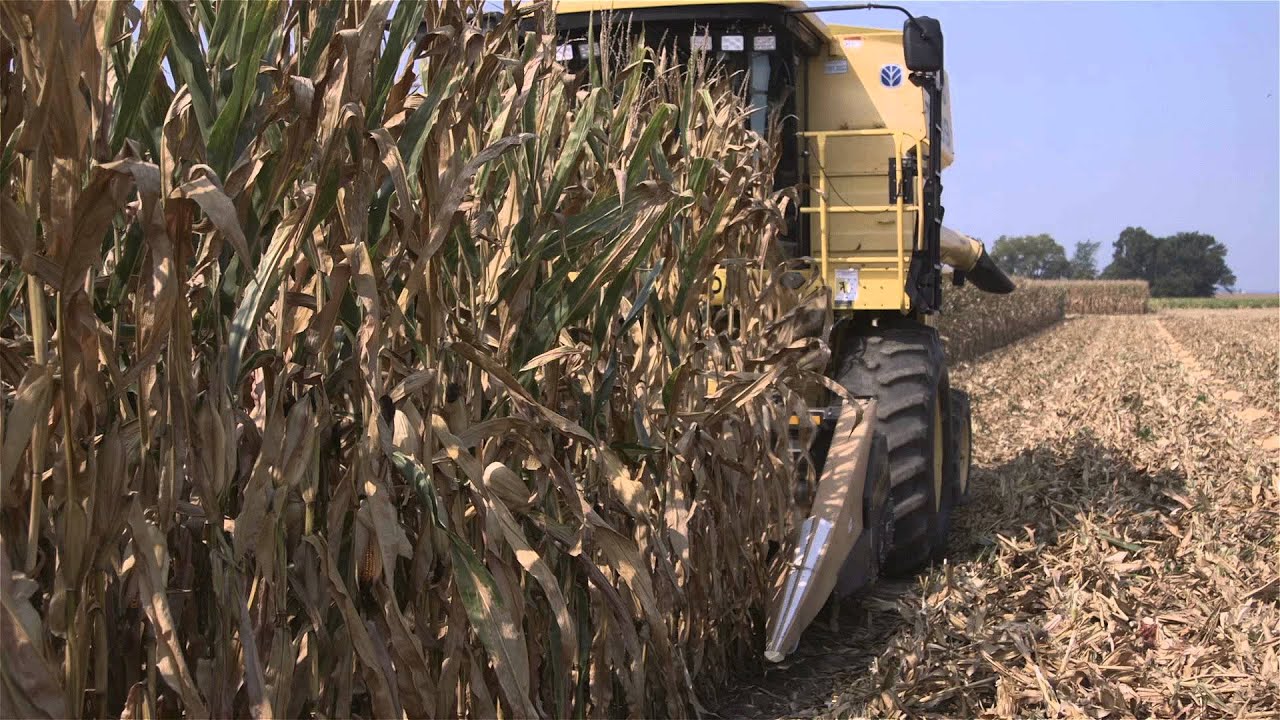 Seeing the Benefits of QuickRoots® - Casey Guiles, Grower - YouTube