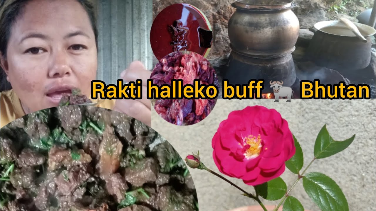 Rakti halleko buff 🐃 Bhutan#@koyoufamily - YouTube