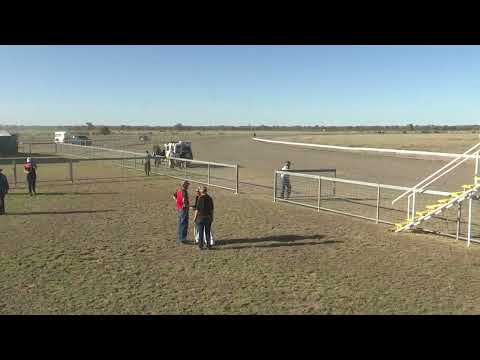 Aramac 19082023 Race 5 - YouTube