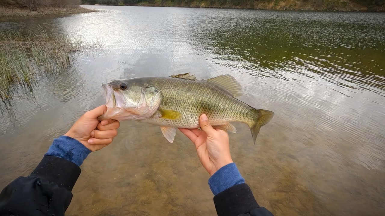 Is it spring yet? (Late winter bassing Del Valle) - YouTube