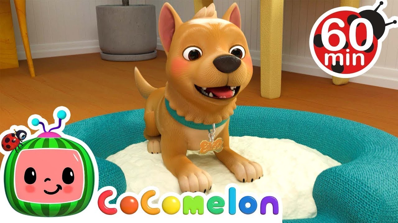 Bingo | Cartoons & Kids Songs | Moonbug Kids - Nursery Rhymes for ...