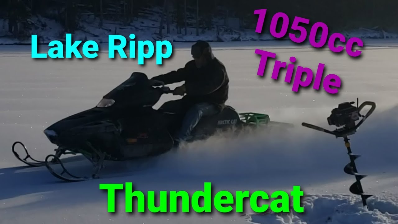 Thundercat Full Throttle Muscle - YouTube