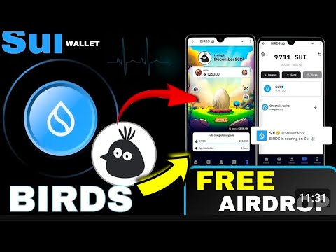 UPDATE ON BIRD AIRDOO BACKED BU SUI NETWORK - YouTube