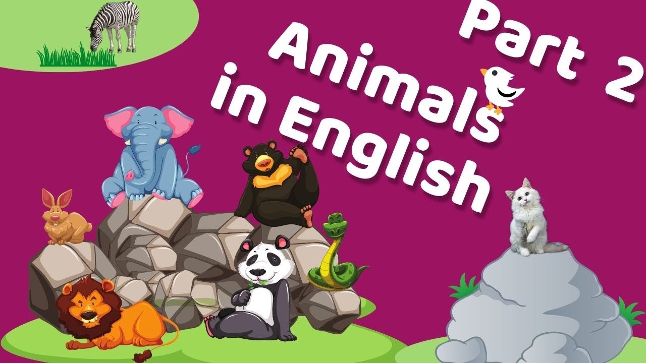 Animals in English part 2 - YouTube