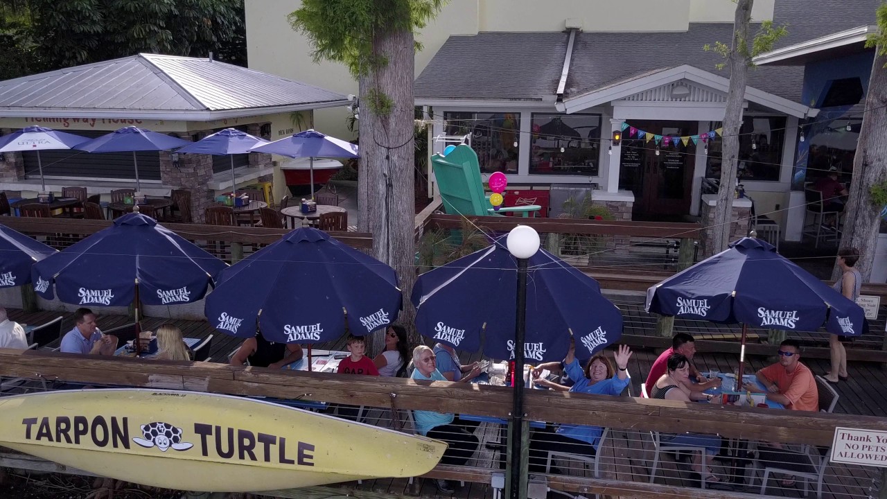 Tarpon Turtle 2nd Anaversary Celebration - YouTube