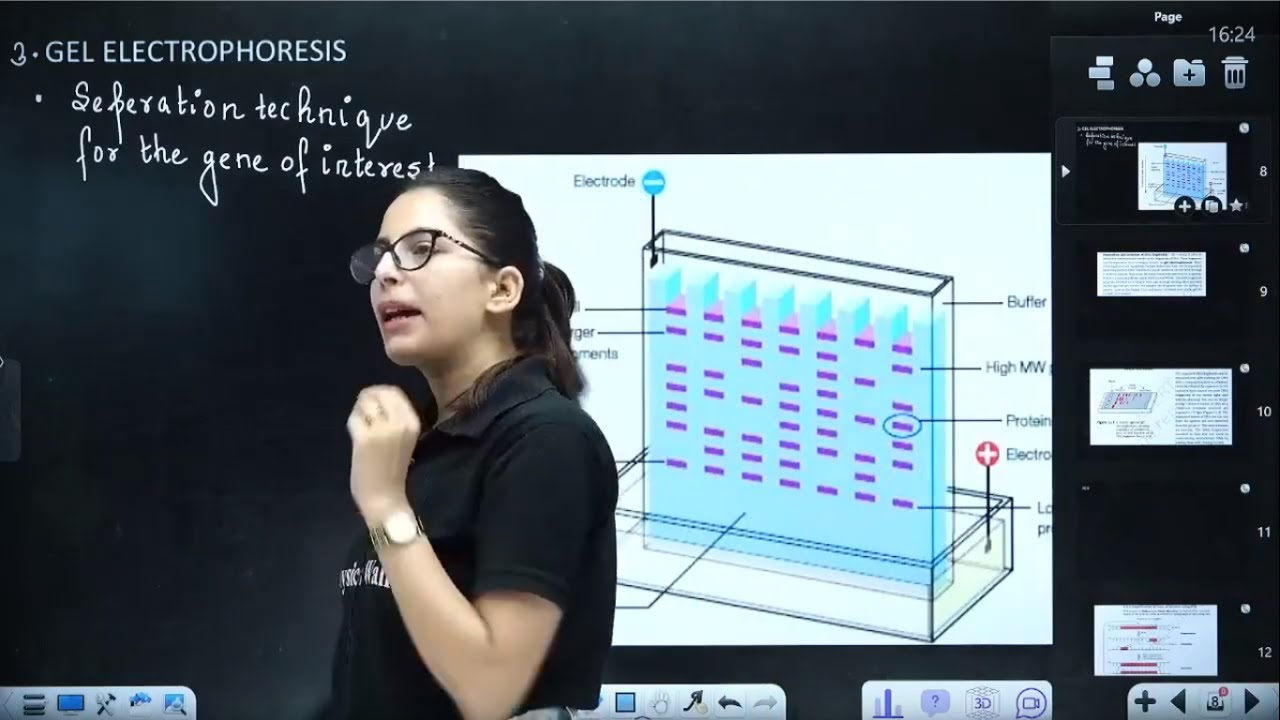 GEL ELECTROPHORESIS BY SAMAPTI MAM BIOTECHNOLOGY PRINCIPLES AND ...