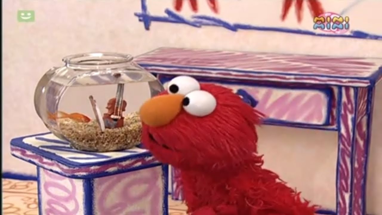15 marzo 2025(17) swiat elmo - YouTube