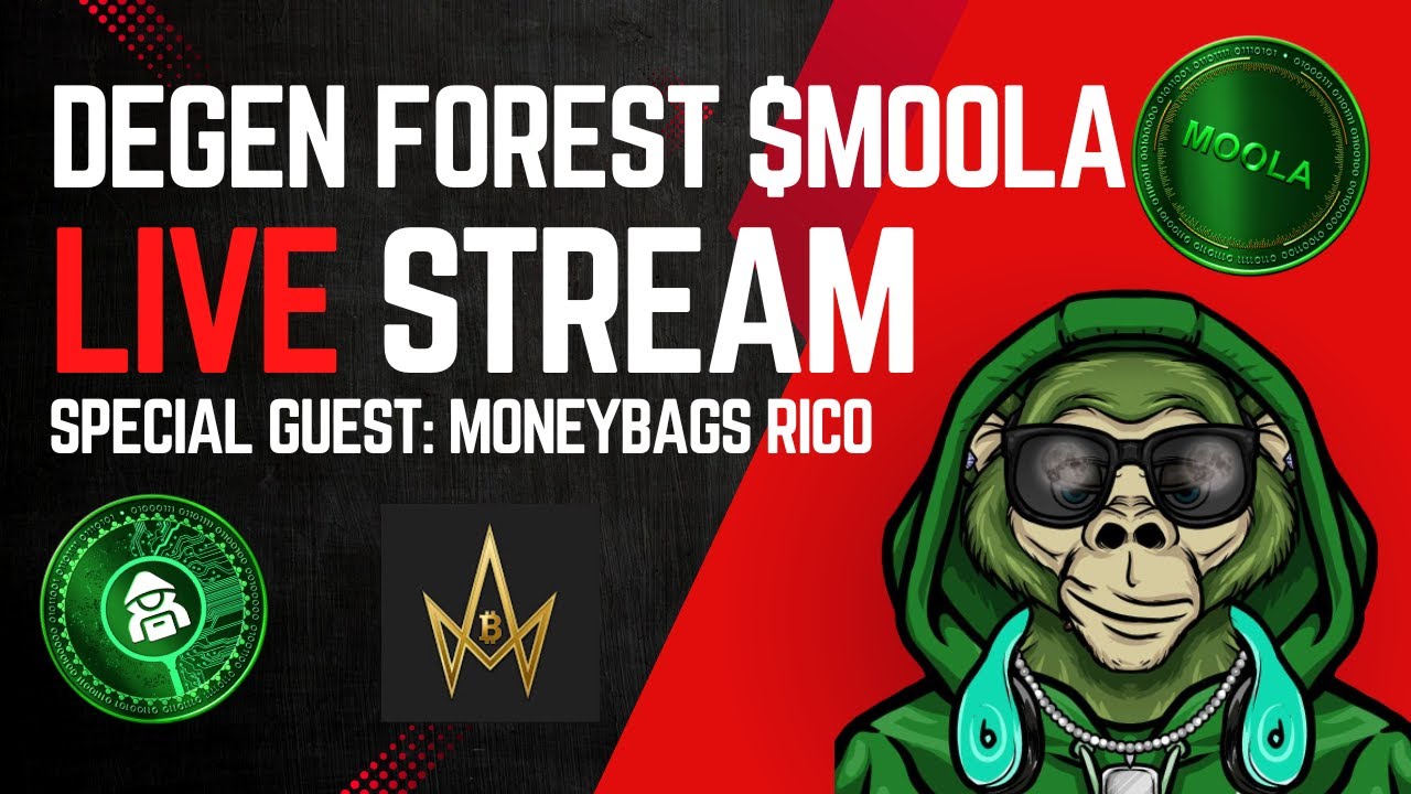 Degen Forest + MoneyBags Rico Hunting for the Next 1000x Coin | $MOOLA $XPX $BRETT - YouTube