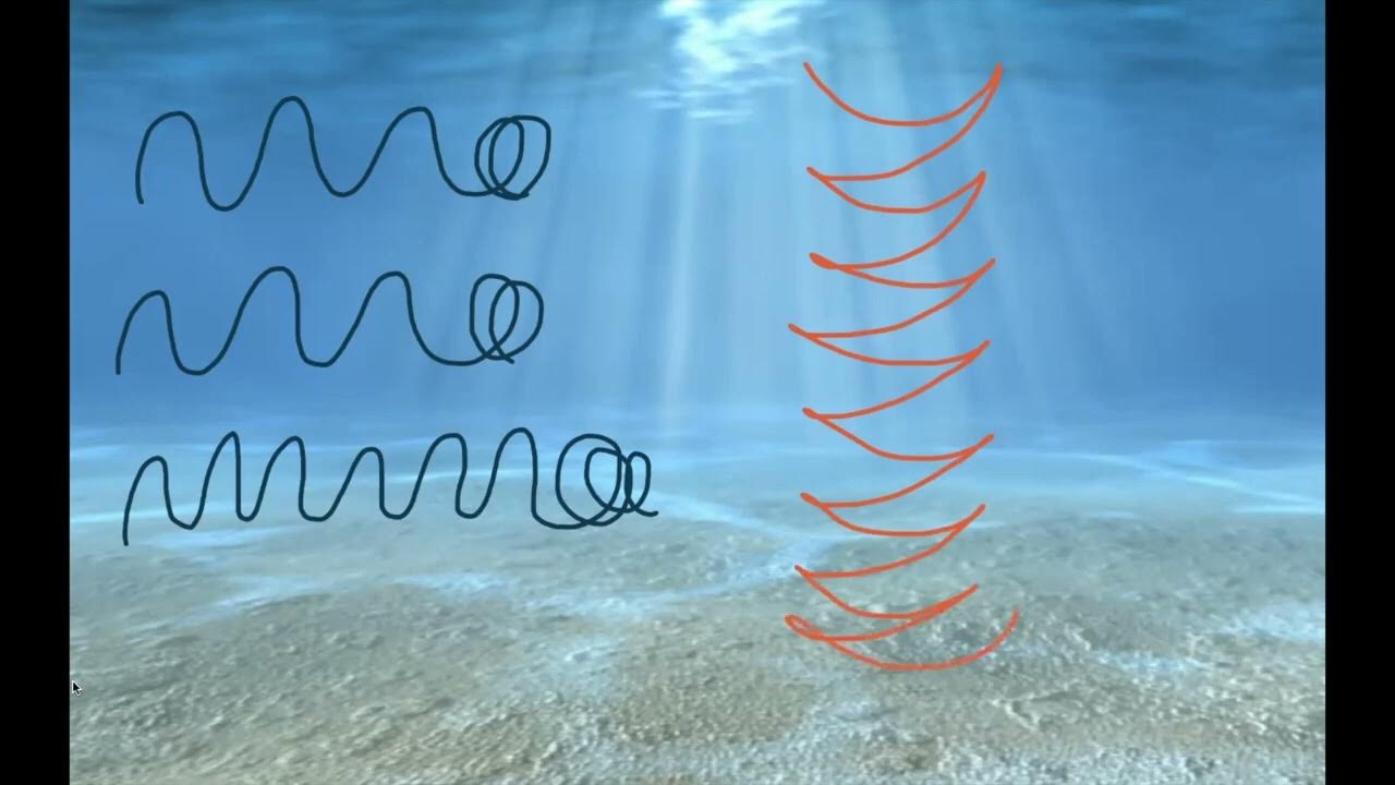 The Aquarium | Scarf Movement | Music with Mrs. Leman | Elementary ...