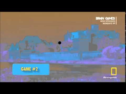 Brain Games- Complimentary Afterimage