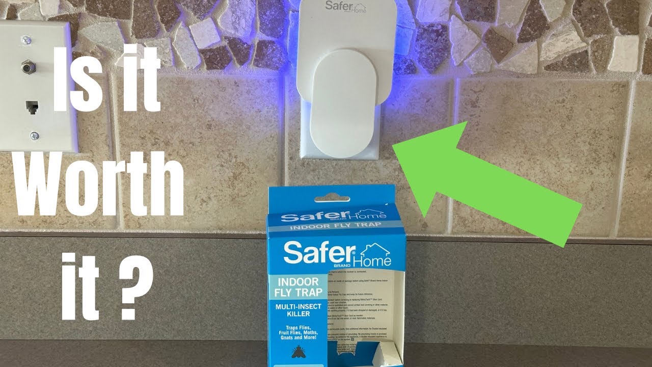 Safer Home Indoor Fly Trap Review / Does it work? - YouTube